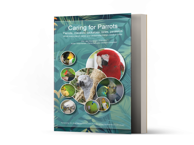 Caring for Parrots